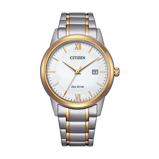 Citizen Eco-Drive – City Chain Singapore